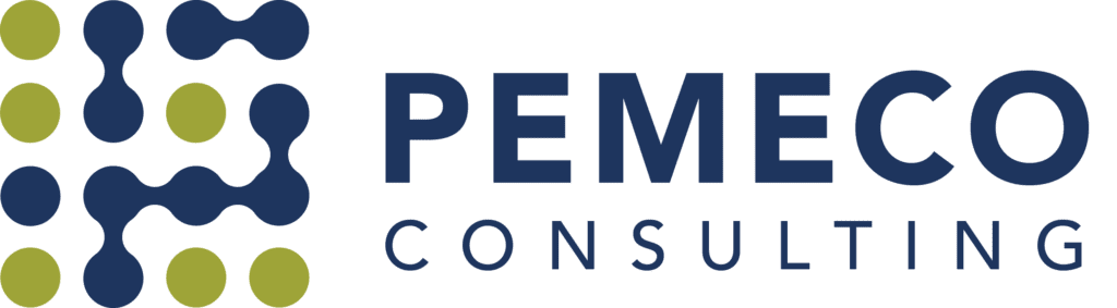 Pemeco Erp And Technology Consulting Services