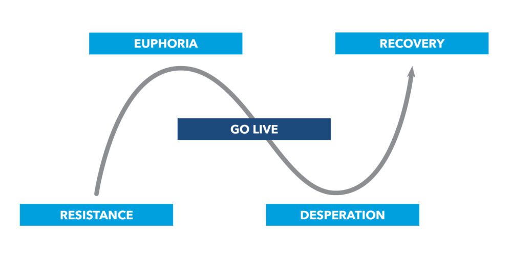 The Emotional Curve of ERP Projects