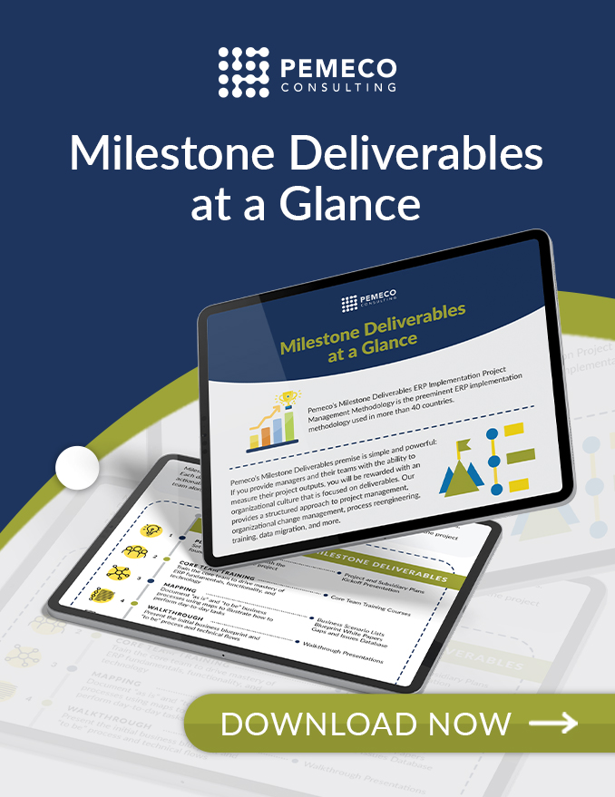 Pemeco Erp And Technology Consulting Services