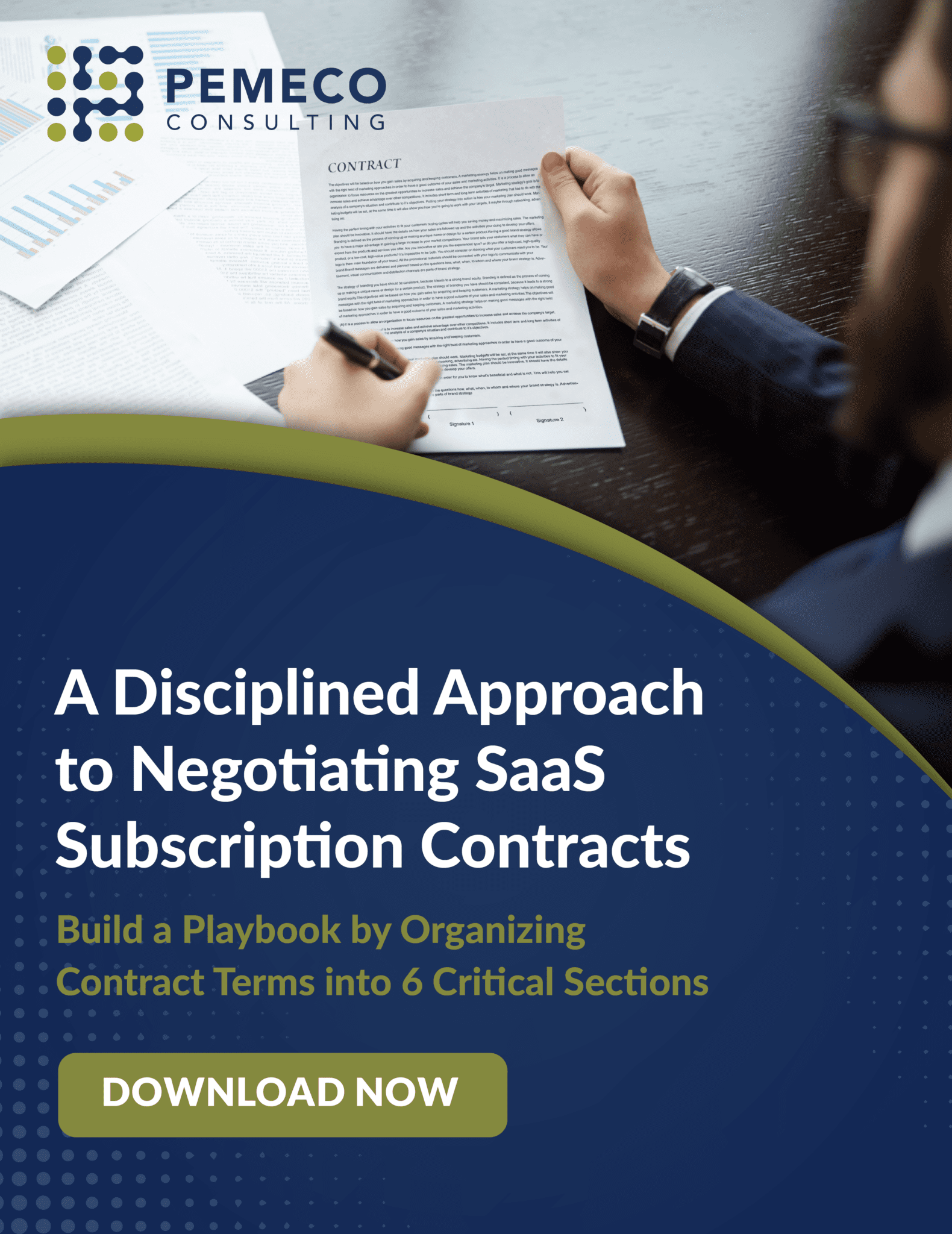 ERP System Testing #1, Conference Room Pilot